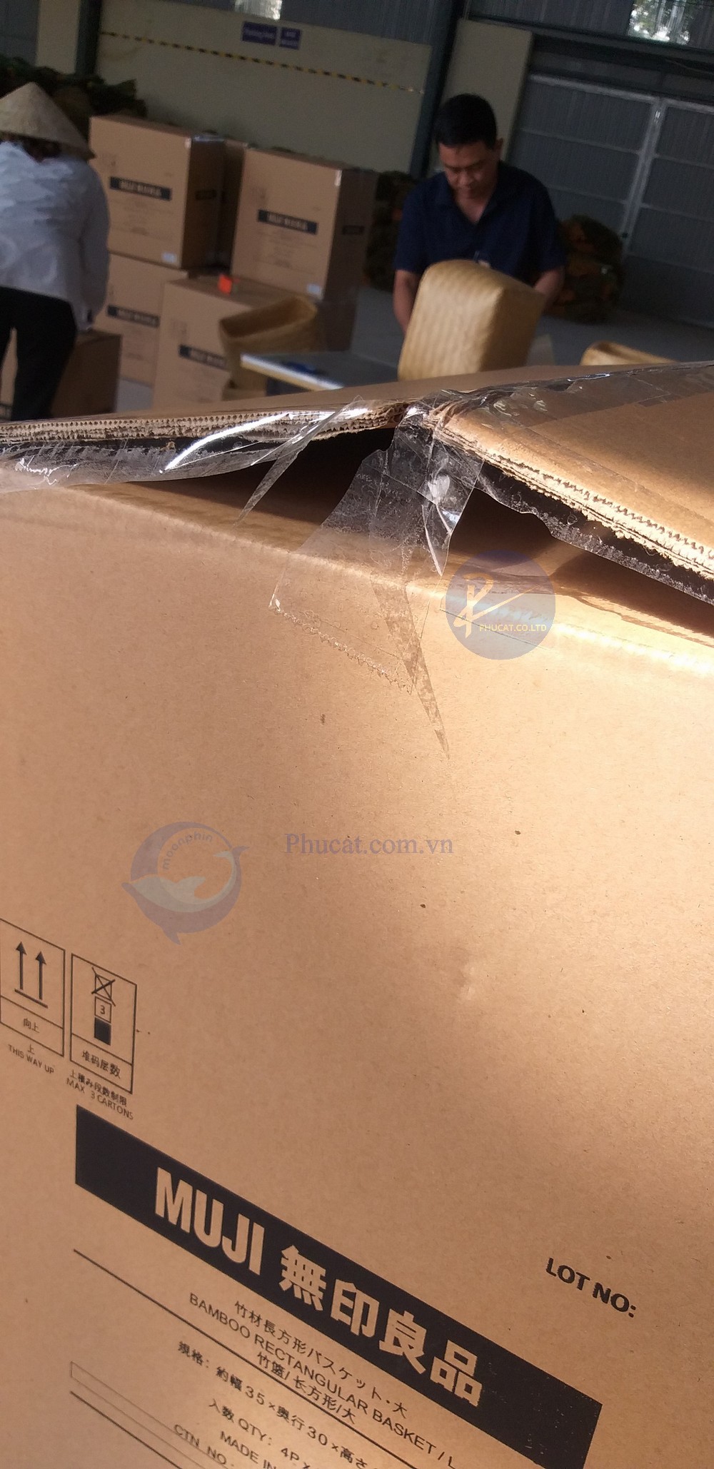 Băng dính dán thùng xuất khẩu thị trường lạnh- Băng dính thùng kháng ẩm